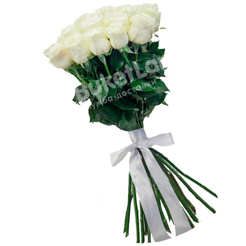 25 білих голландських троянд Mondial /White Chocolate - придбати квіти ...