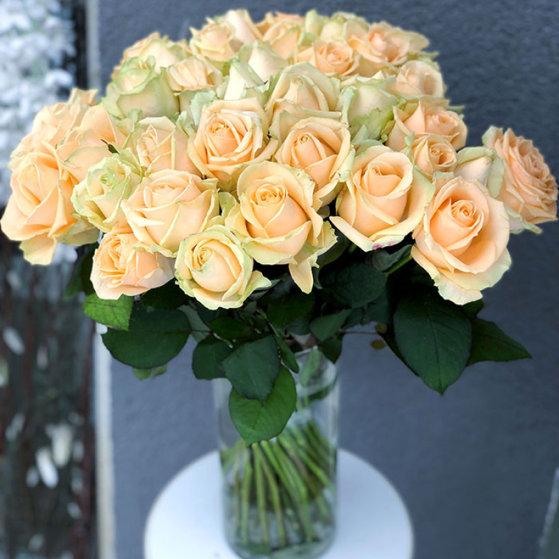 Купить персиковую розу Пич поштучно - Роза Пич поштучно с доставкой в Киеве